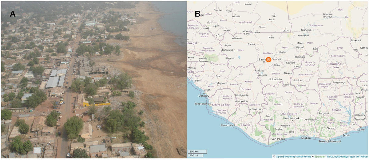 Frontiers | Molecular epidemiology of enterically colonizing ...