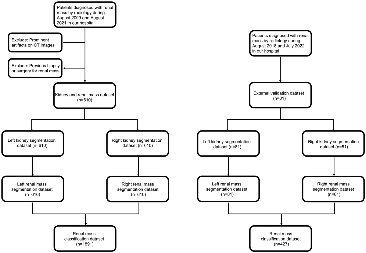 Frontiers | Automatic renal mass segmentation and classification on CT images based on 3D U-Net ...