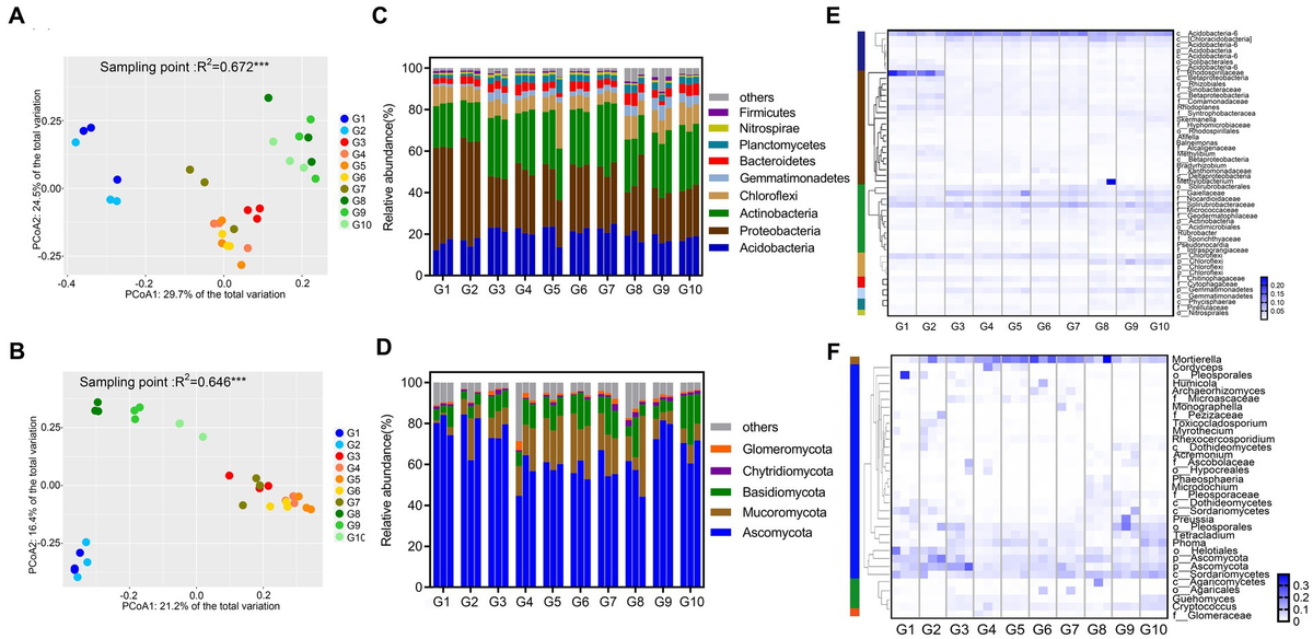 Frontiers | A functional metagenomics study of soil carbon and nitrogen ...