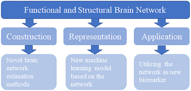 Frontiers | Editorial: Functional and structural brain network construction, representation and ...