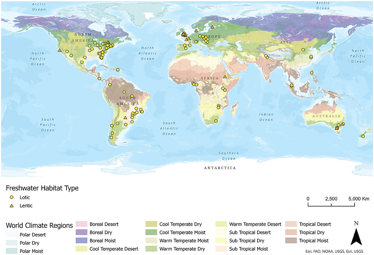 Frontiers | Freshwater insect communities in urban environments around ...