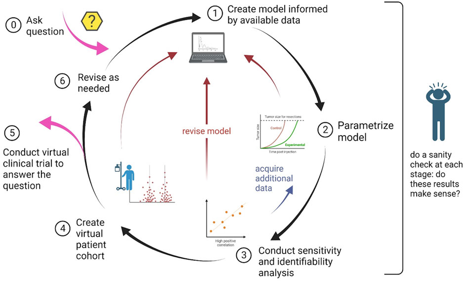 Frontiers | A practical guide for the generation of model-based virtual ...