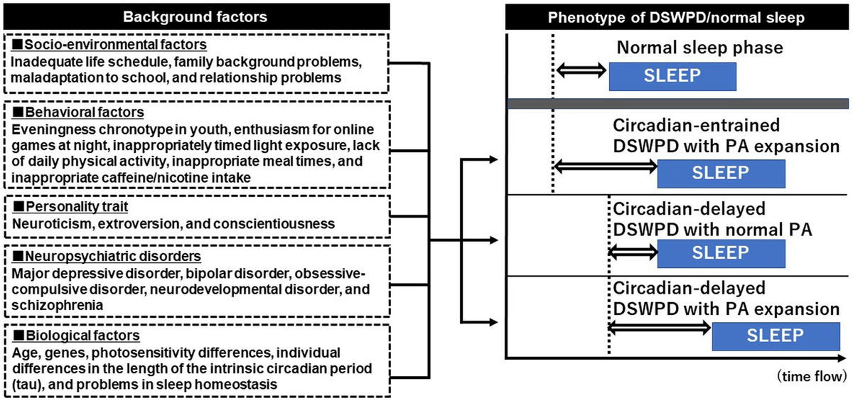 Frontiers | Delayed sleep–wake phase disorder and its related sleep ...