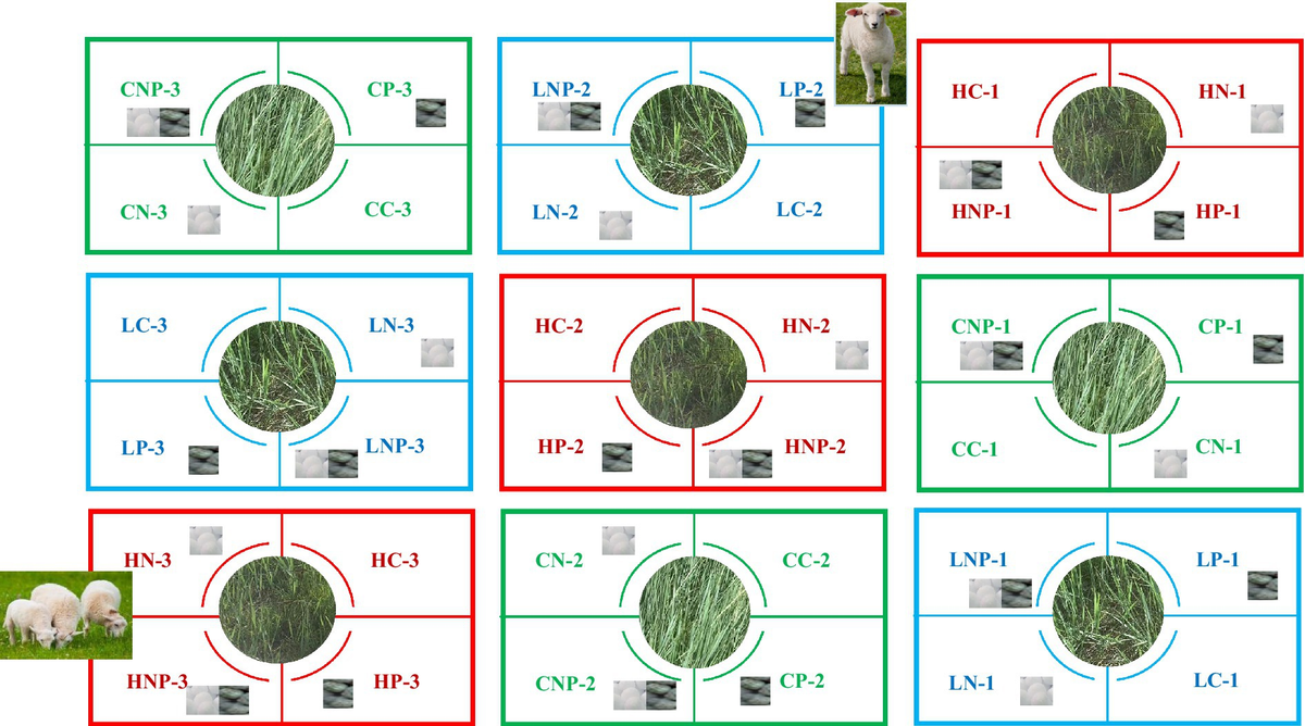 Frontiers | The interactive effect of grazing and fertilizer ...