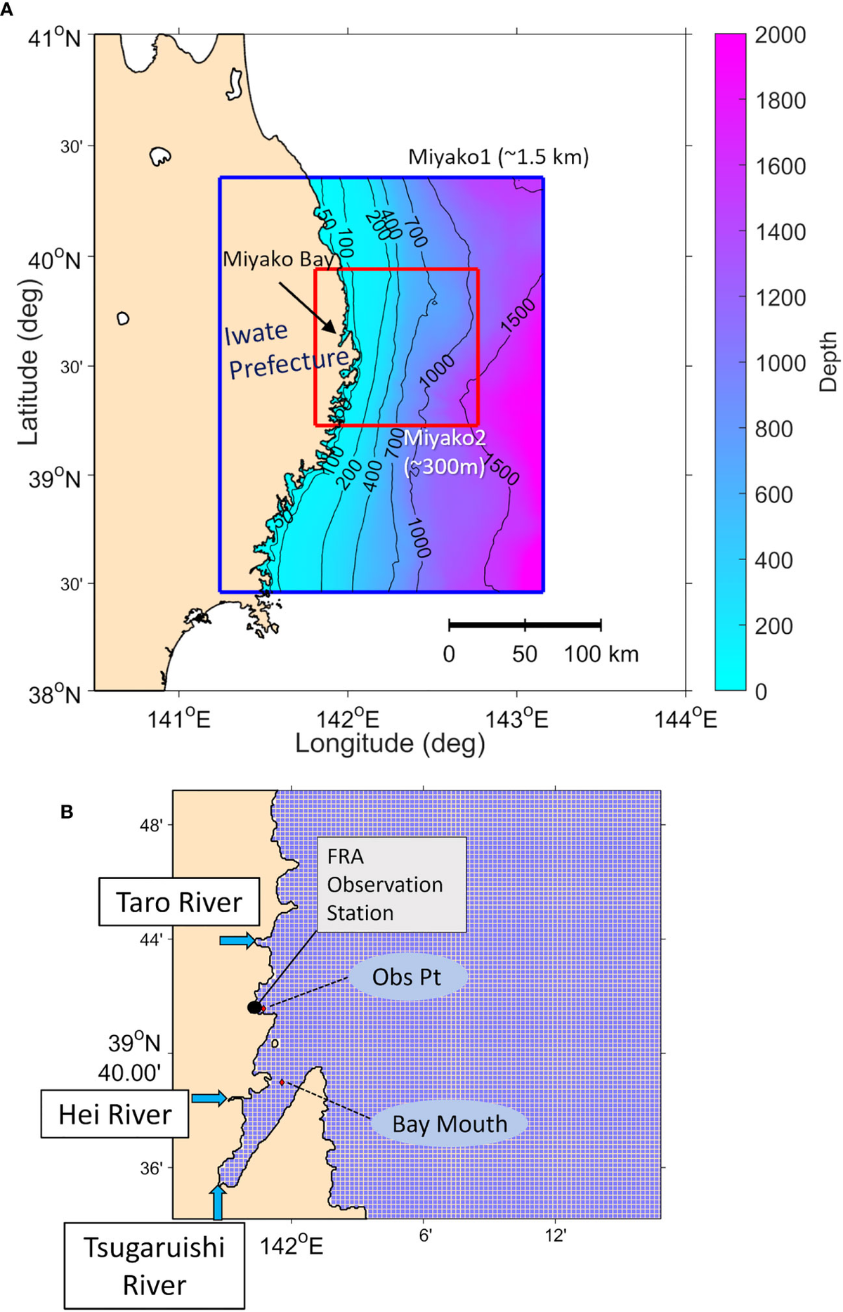 Frontiers | Development of a high-resolution marine ecosystem model for ...