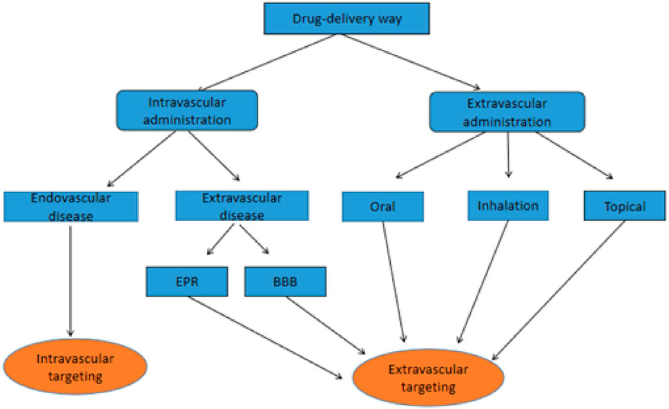 Frontiers | Advances in nanomaterial-based targeted drug delivery systems