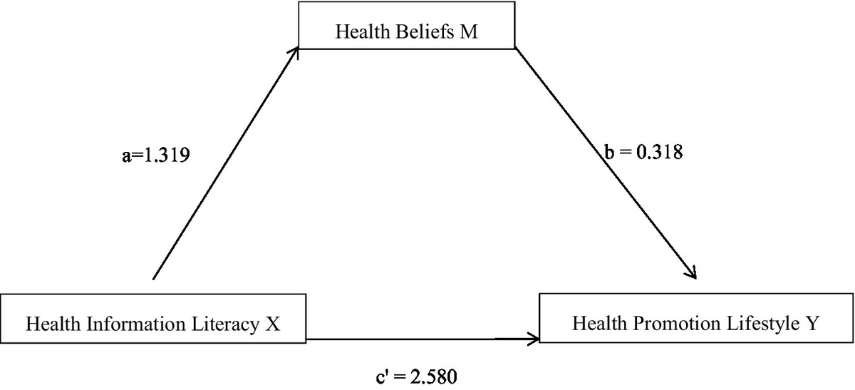Frontiers | Relationship between health information literacy and health ...