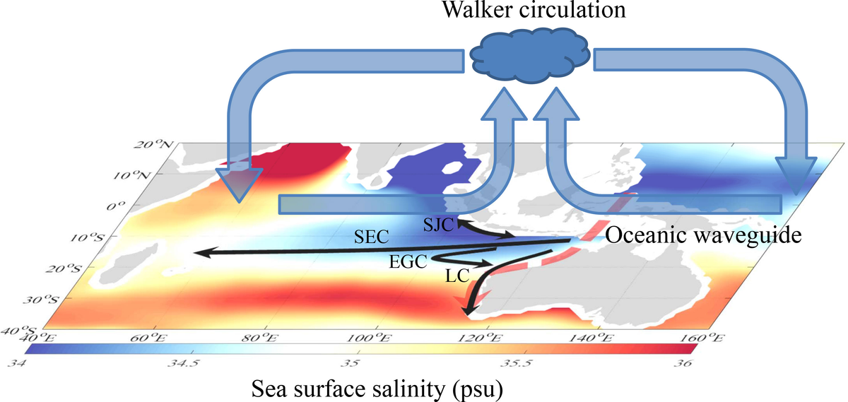 Frontiers | Influence of the El Niño-Southern Oscillation on upper-ocean salinity changes in the ...