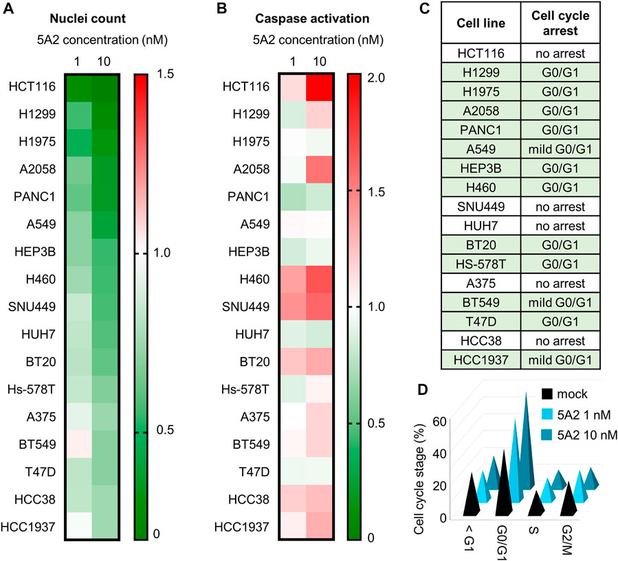 Frontiers | The tumor suppressor 5A2, a synthetic miR-7-5p mimic ...