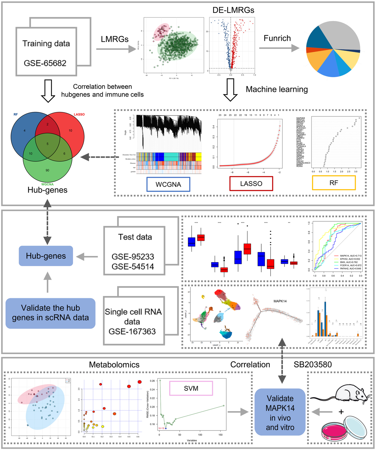 Frontiers | Integrative single-cell RNA sequencing and metabolomics ...