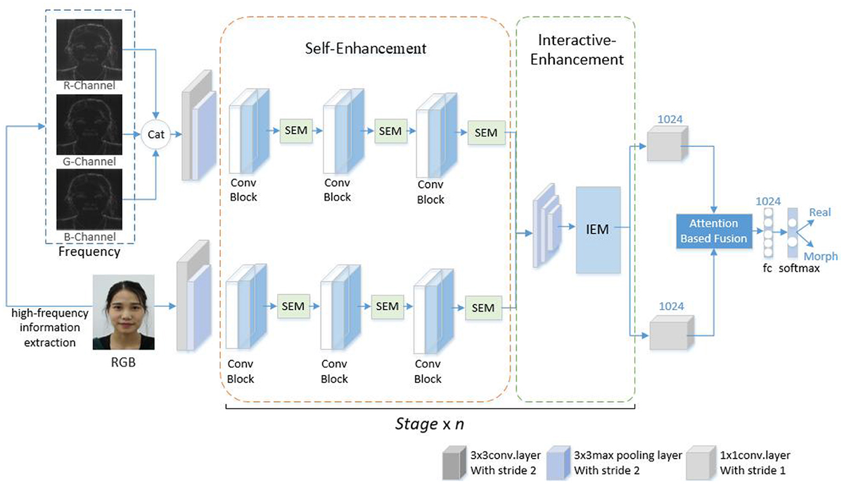 Frontiers | Face morphing attack detection based on high-frequency features and progressive ...