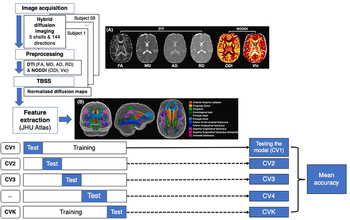 Frontiers | Machine learning-based classification of chronic traumatic ...