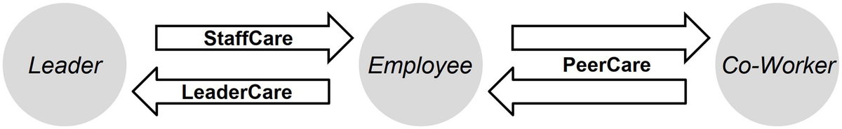 Frontiers | Capturing the impact employees have on their coworkers and ...