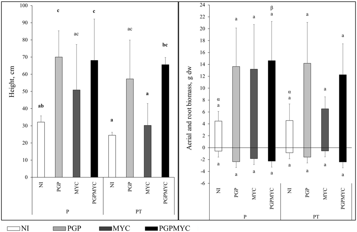 Frontiers | Soil amendment and rhizobacterial inoculation improved Cu ...