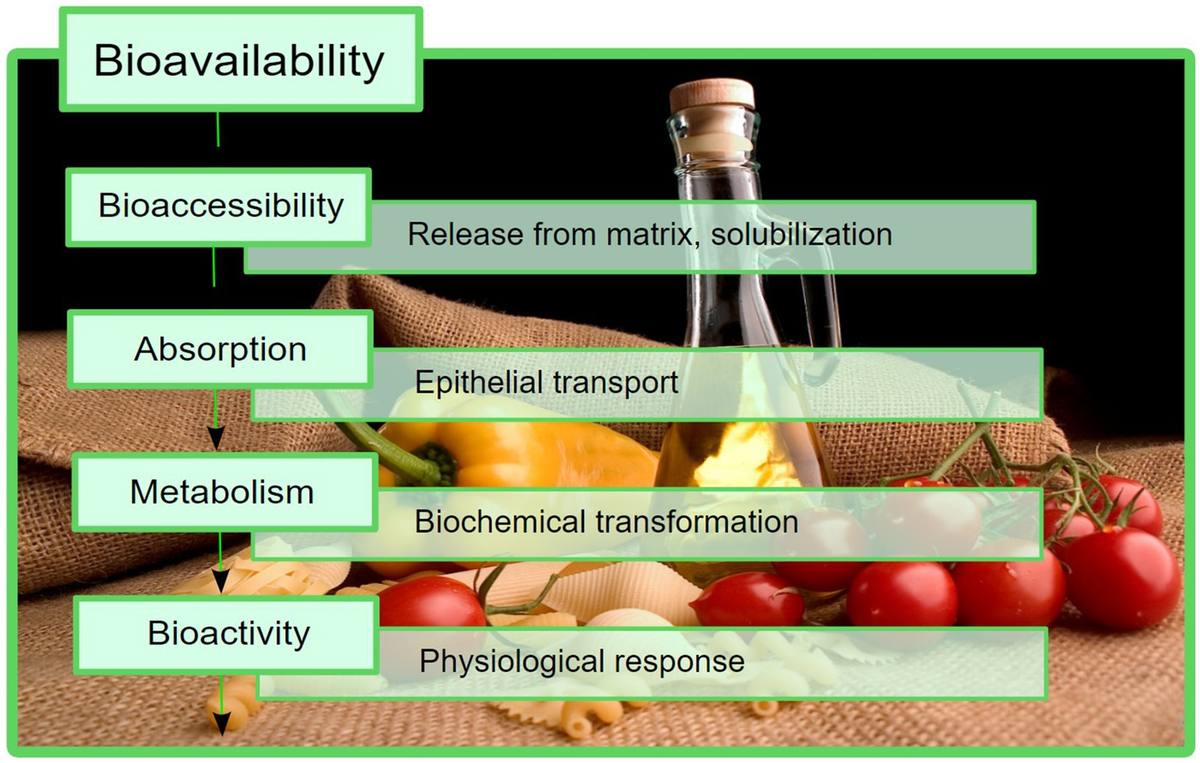Frontiers | Bioaccessibility and bioactive potential of different ...