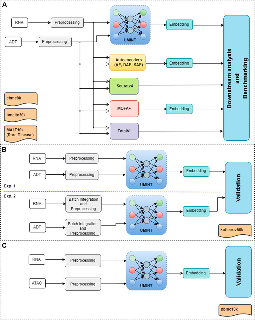 Frontiers Unsupervised Neural Network For Single Cell Multi Omics Integration Umint An
