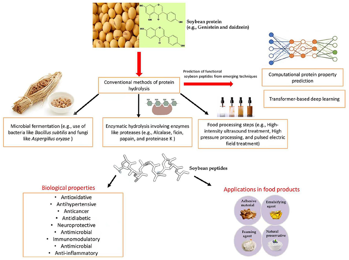Frontiers | Recent advances in exploring and exploiting soybean ...