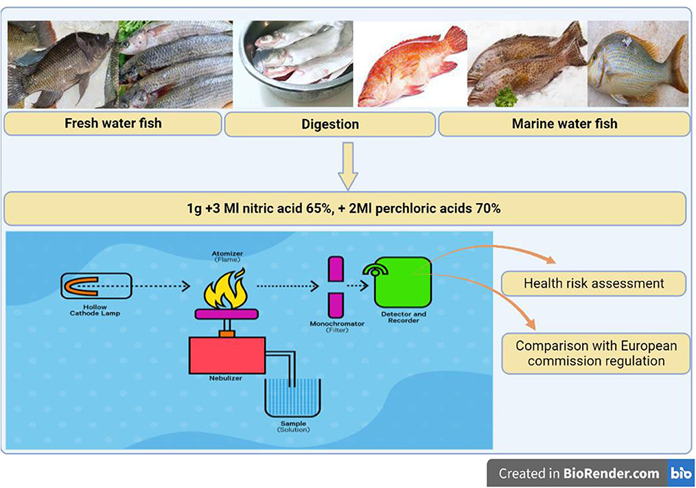 Frontiers | Risk assessment of toxic residues among some freshwater and ...