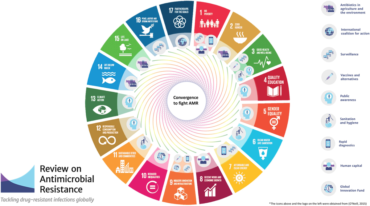 Frontiers | Circular Health: exploiting the SDG roadmap to fight AMR