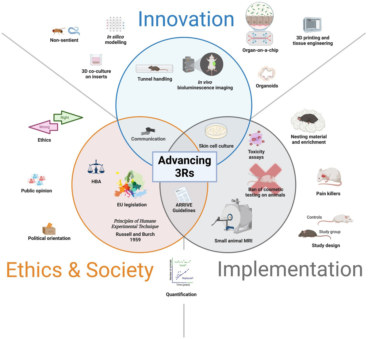 Frontiers | Advancing the 3Rs: innovation, implementation, ethics and ...