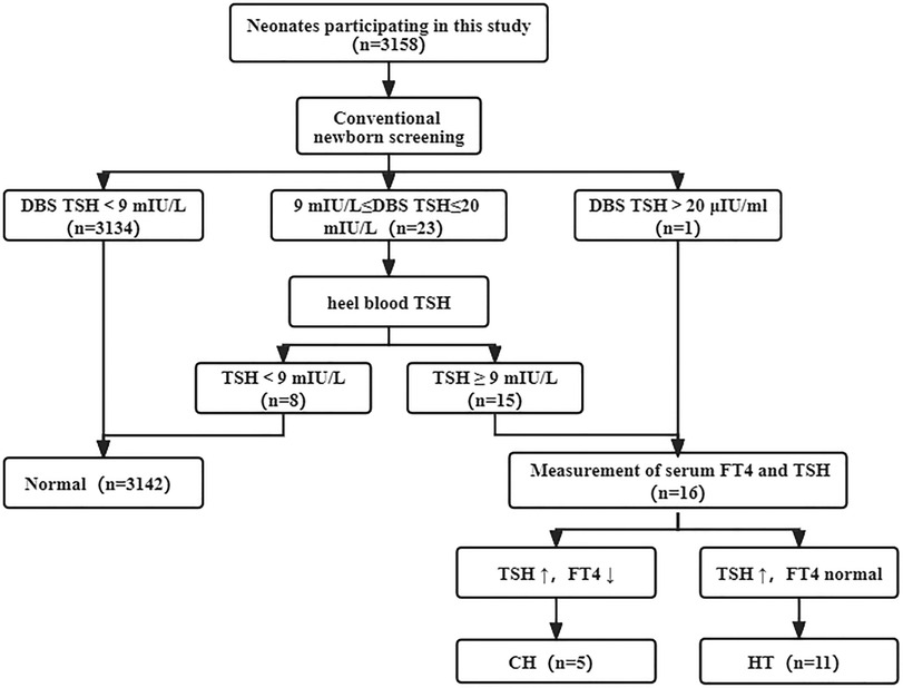 Frontiers | Combined genetic screening and traditional newborn ...