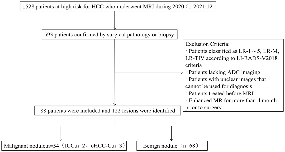 Frontiers | Liver Imaging Reporting and Data System (LI-RADS) v2018 ...