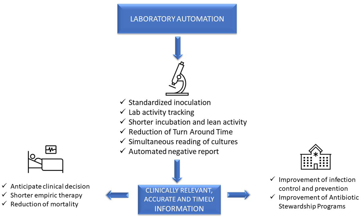 Frontiers | Laboratory automation, informatics, and artificial ...