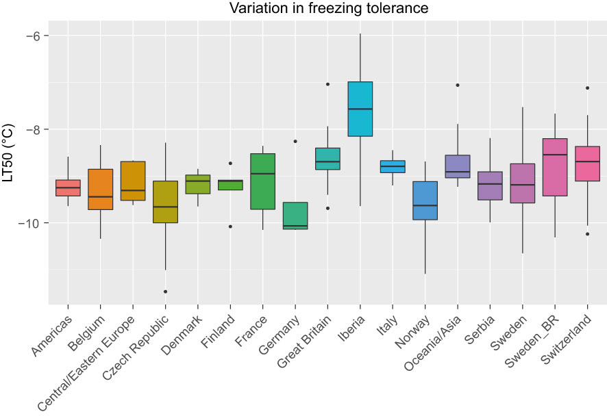 Frontiers | A genome-wide association study of freezing tolerance in ...