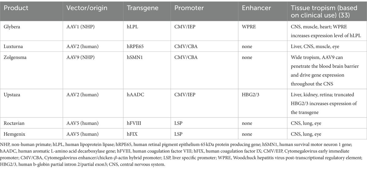 Frontiers | Potency testing of cell and gene therapy products