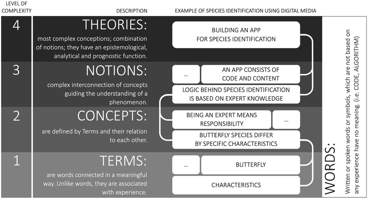 Frontiers | An app by students for students – the DPaCK-model for a ...