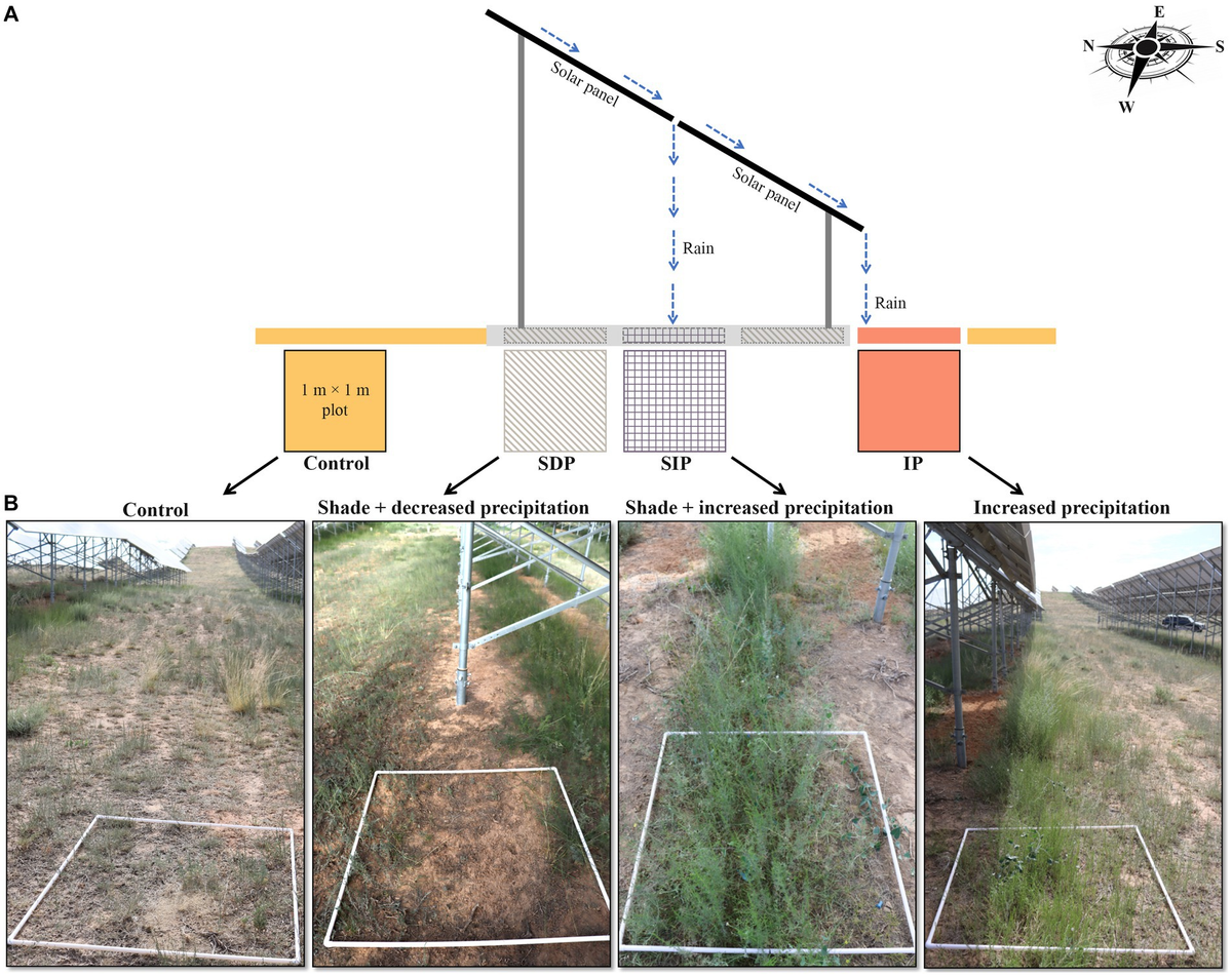 Frontiers | Potential benefits and risks of solar photovoltaic power ...