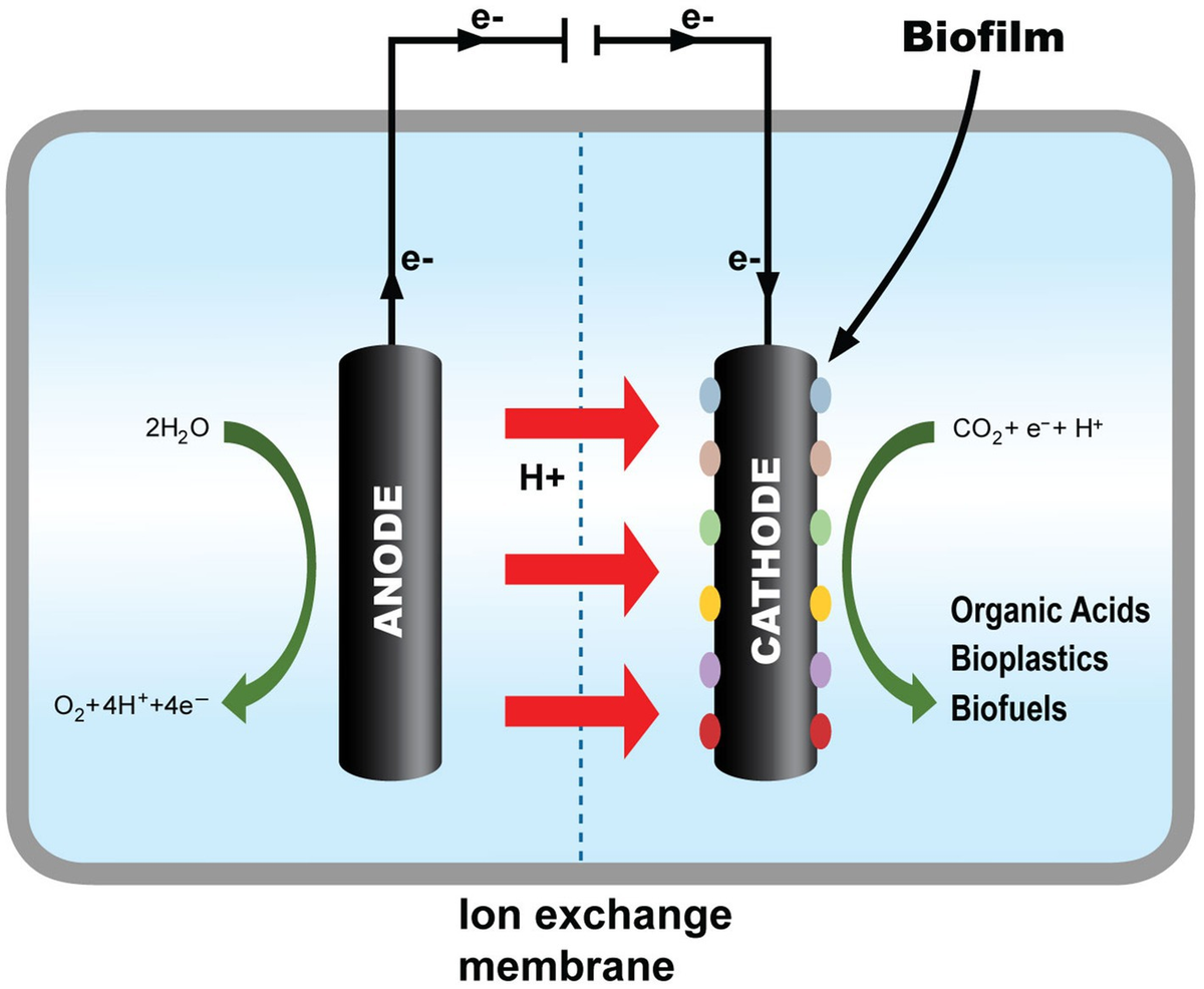 Frontiers | Role of microbial electrosynthesis system in CO2 capture ...