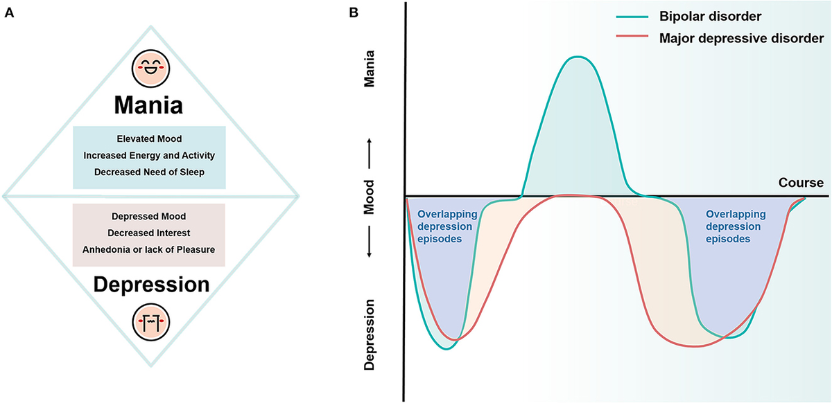 Frontiers | Differentiation between bipolar disorder and major ... Frontiers | Differentiation between bipolar disorder and major ...