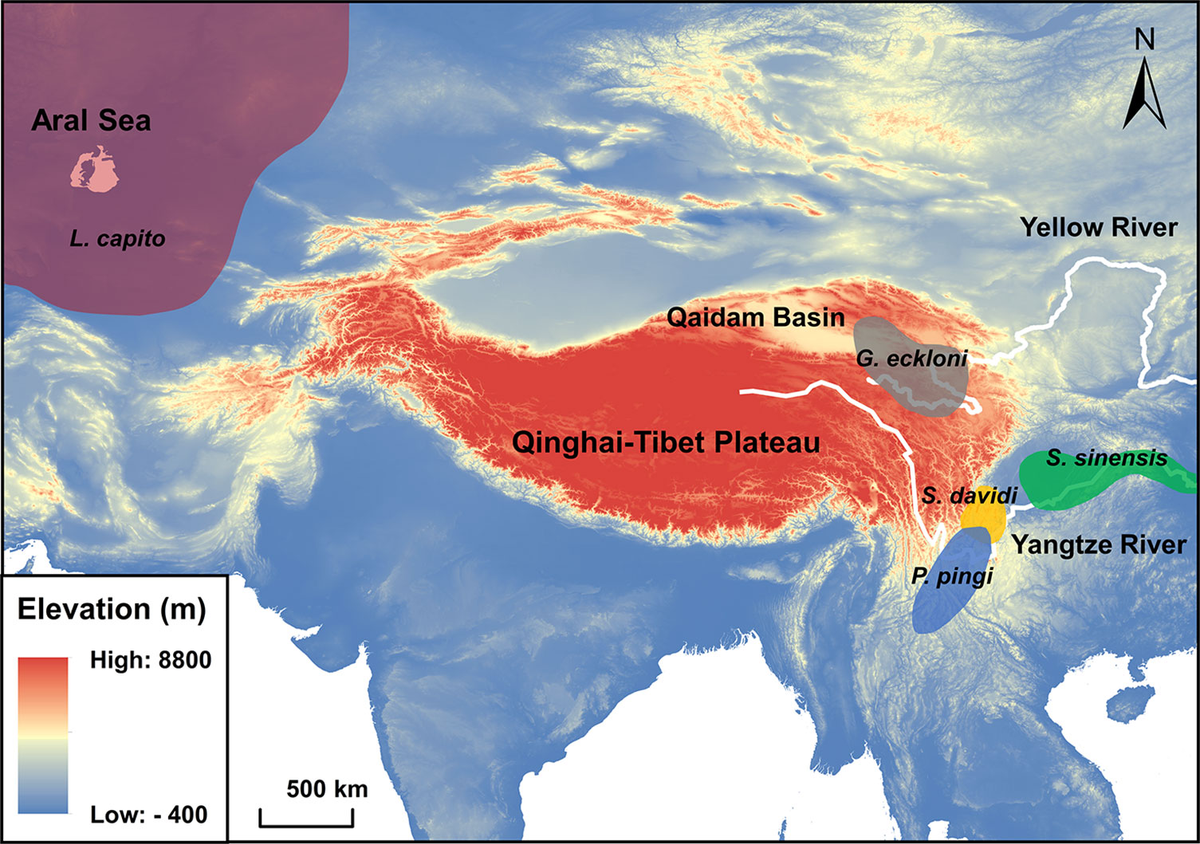 Frontiers | Factors limiting the spread of middle- and low-altitude ...