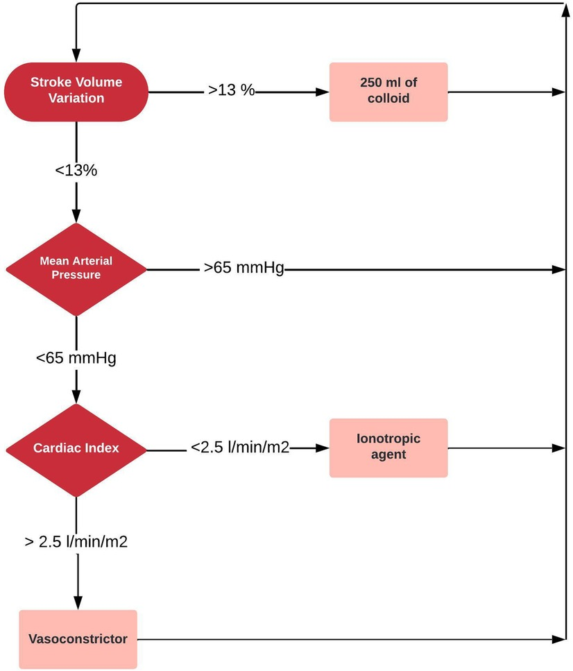 Frontiers | Intraoperative hemodynamic optimization using the hypotension prediction index vs ...
