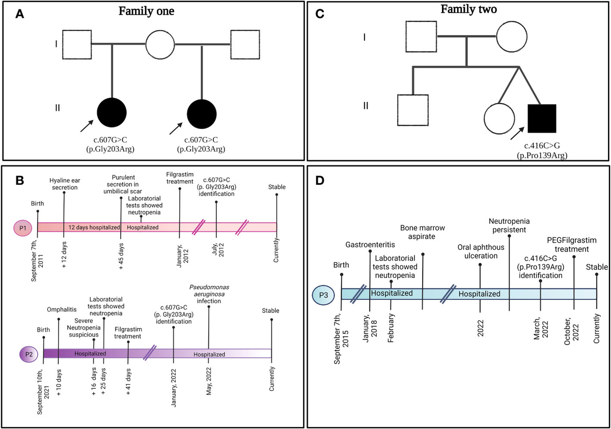 Frontiers | Case Report: Characterization of known (c.607G>C) and novel ...