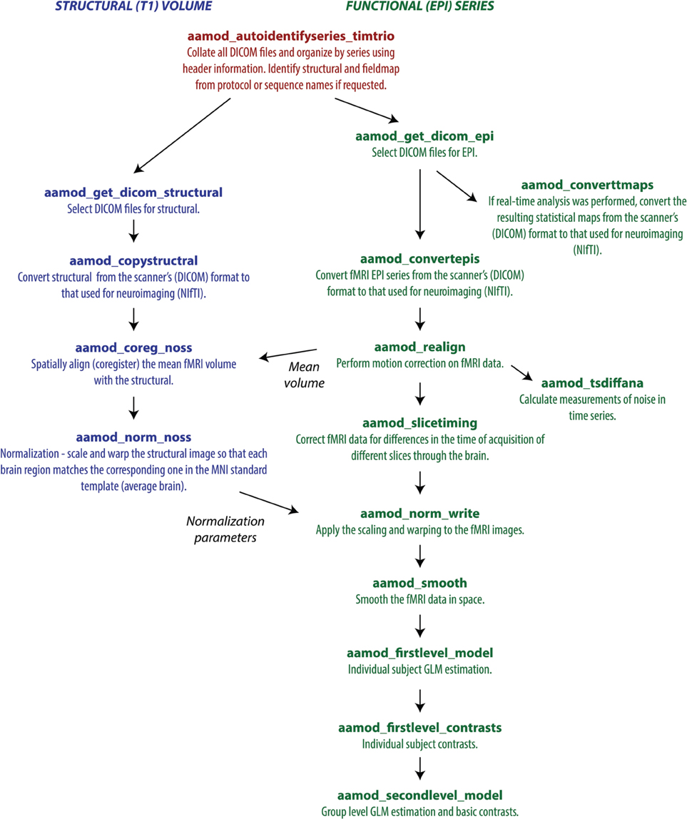 Frontiers | Automatic analysis (aa): efficient neuroimaging workflows and parallel processing ...