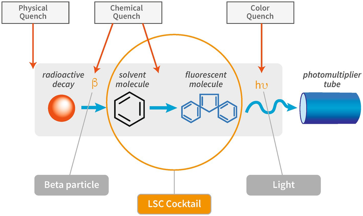 Frontiers | Liquid scintillation counting at the limit of detection in biogeosciences