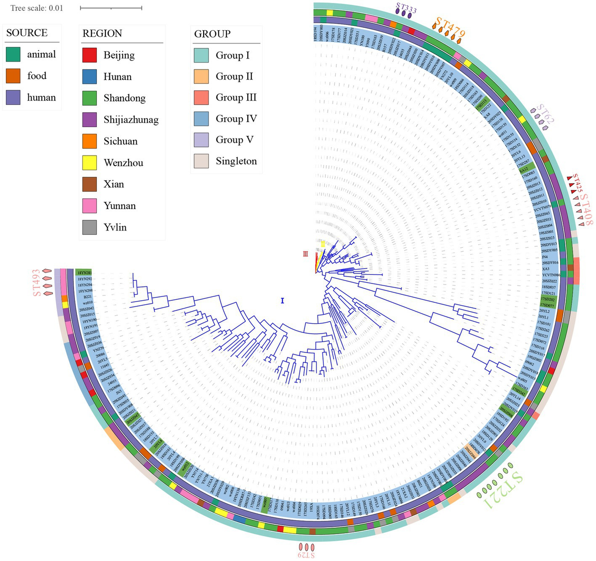 Frontiers | Molecular characteristics and phylogenetic analysis of Clostridium perfringens from ...