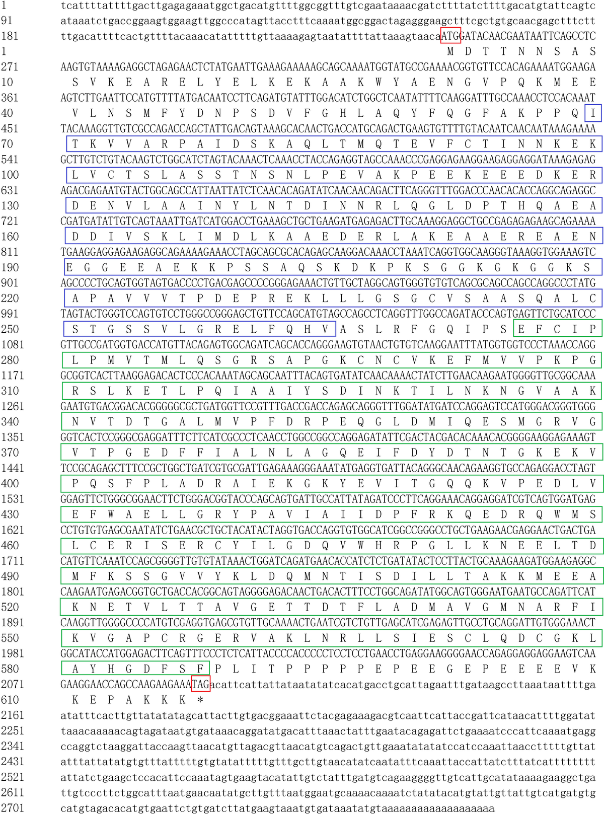 Frontiers | Molecular bioinformatic and functional analysis of Enolase4 ...