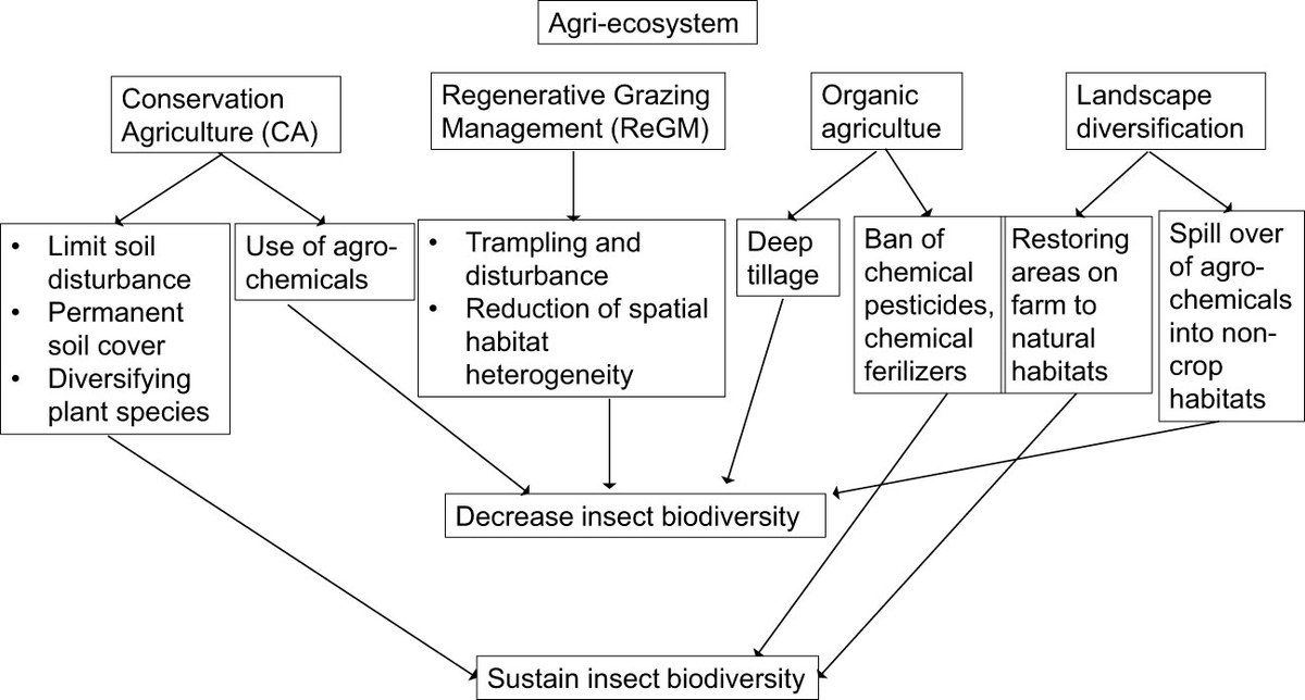 Frontiers | Sustaining insect biodiversity in agricultural systems to ...