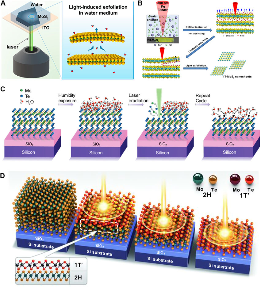 Frontiers | Laser-assisted synthesis of two-dimensional transition ...