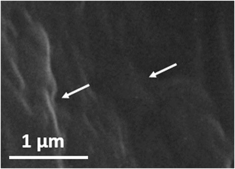 Frontiers | Impact of moisture content, closing speed, and pressurizing ...