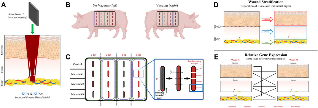 Frontiers | A method for temporal-spatial multivariate genomic analysis ...