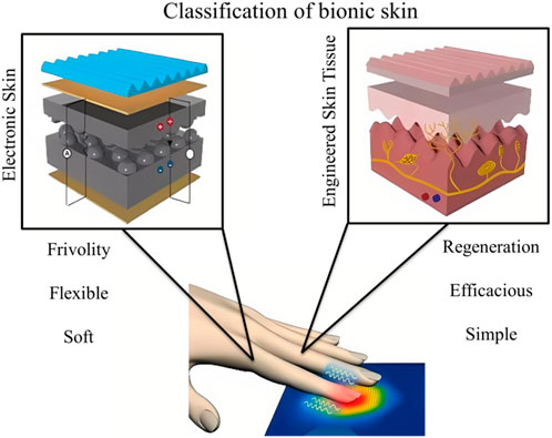 Frontiers | Bioinspired skin towards next-generation rehabilitation ...