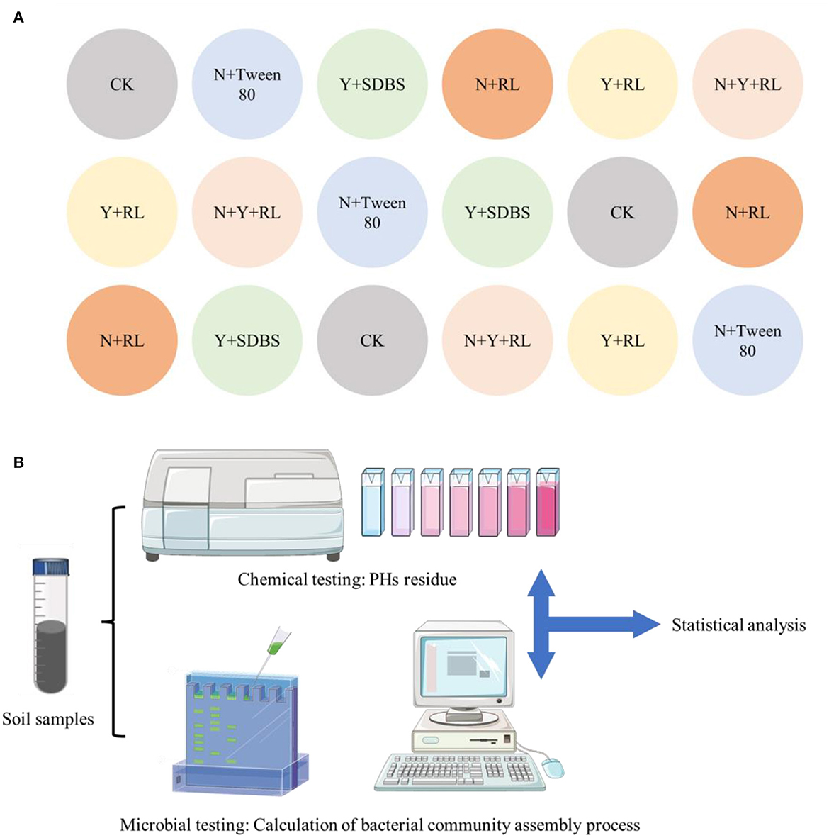 Frontiers | Effect of the bacterial community assembly process on the ...