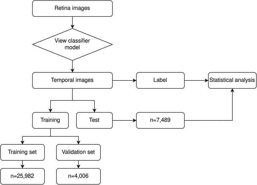 Frontiers | Development and validation of an artificial intelligence ...