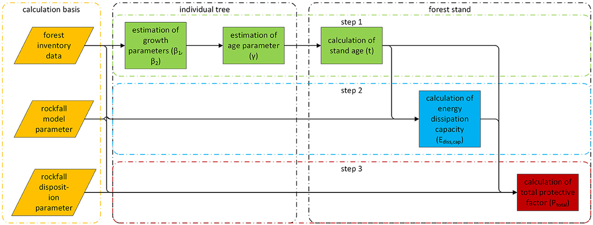 Frontiers | Quantifying the long-term recovery of the protective effect ...