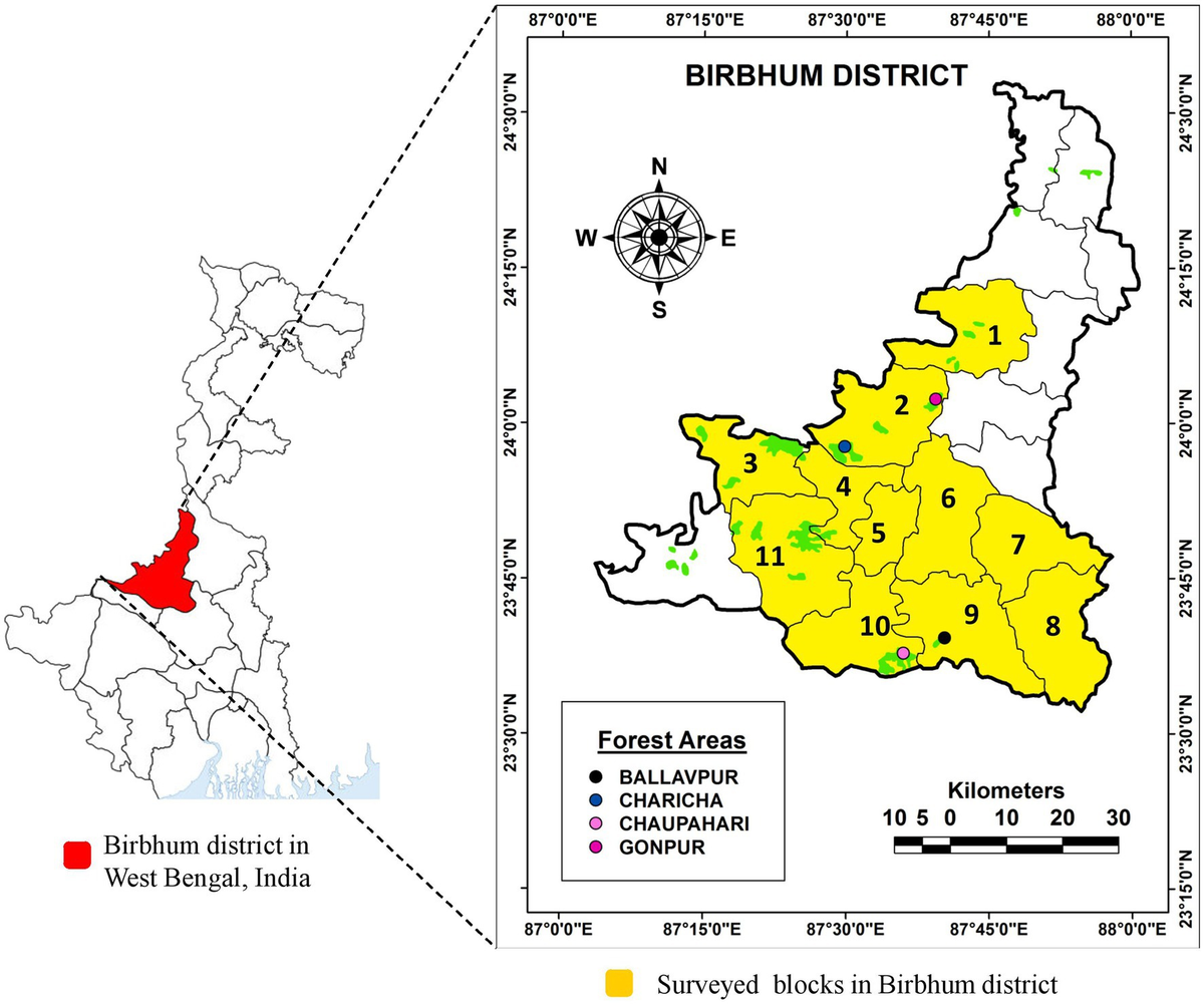 Frontiers | The importance of wild edible plant and macrofungi ...