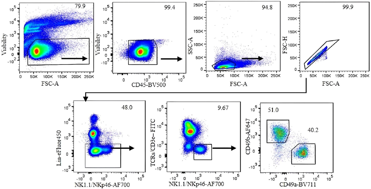 Frontiers | Flow cytometric analysis of innate lymphoid cells ...